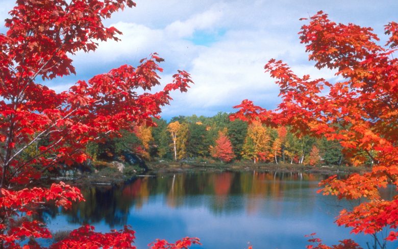 就活のサポートいたします | NPO法人江朋会 joblead(ジョブリード)